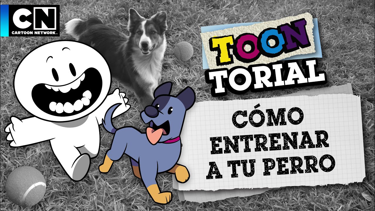 COMO ENTRENAR A TU PERRO | TOONTORIAL | CARTOON NETWORK - YouTube