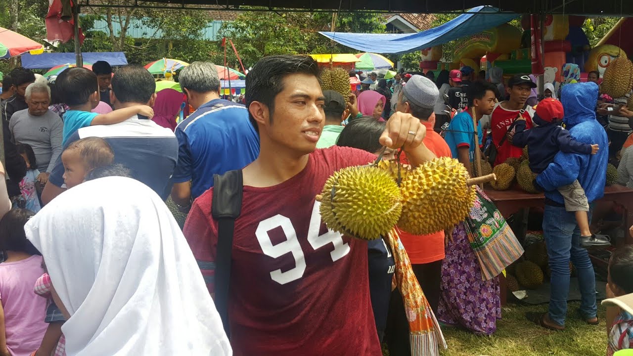 BEREBUT DURIAN GRATIS di FESTIVAL DURIAN CANDIMULYO - YouTube