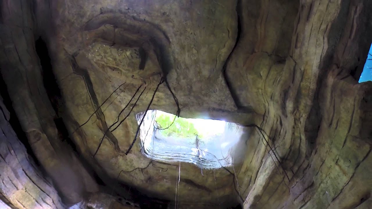 The Abyss : Water Slide - Atlantis (Paradise Island, Bahamas) - YouTube