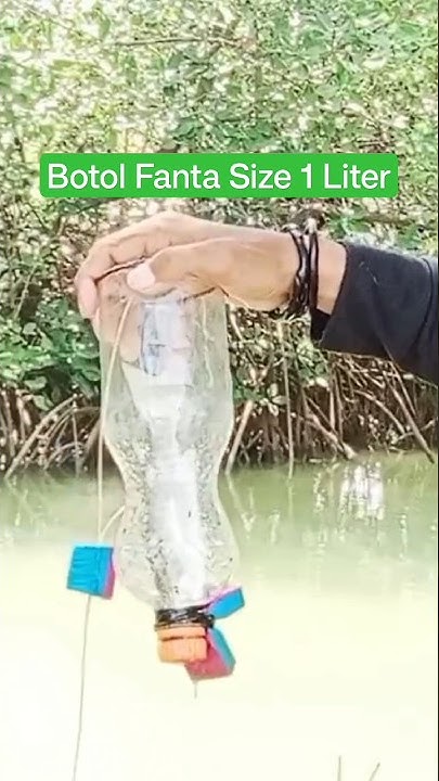 serunya MANCING IKAN BELANAK PAKAI BOTOL || Botol fanta tetap idaman buat mancing belanak#shorts ...