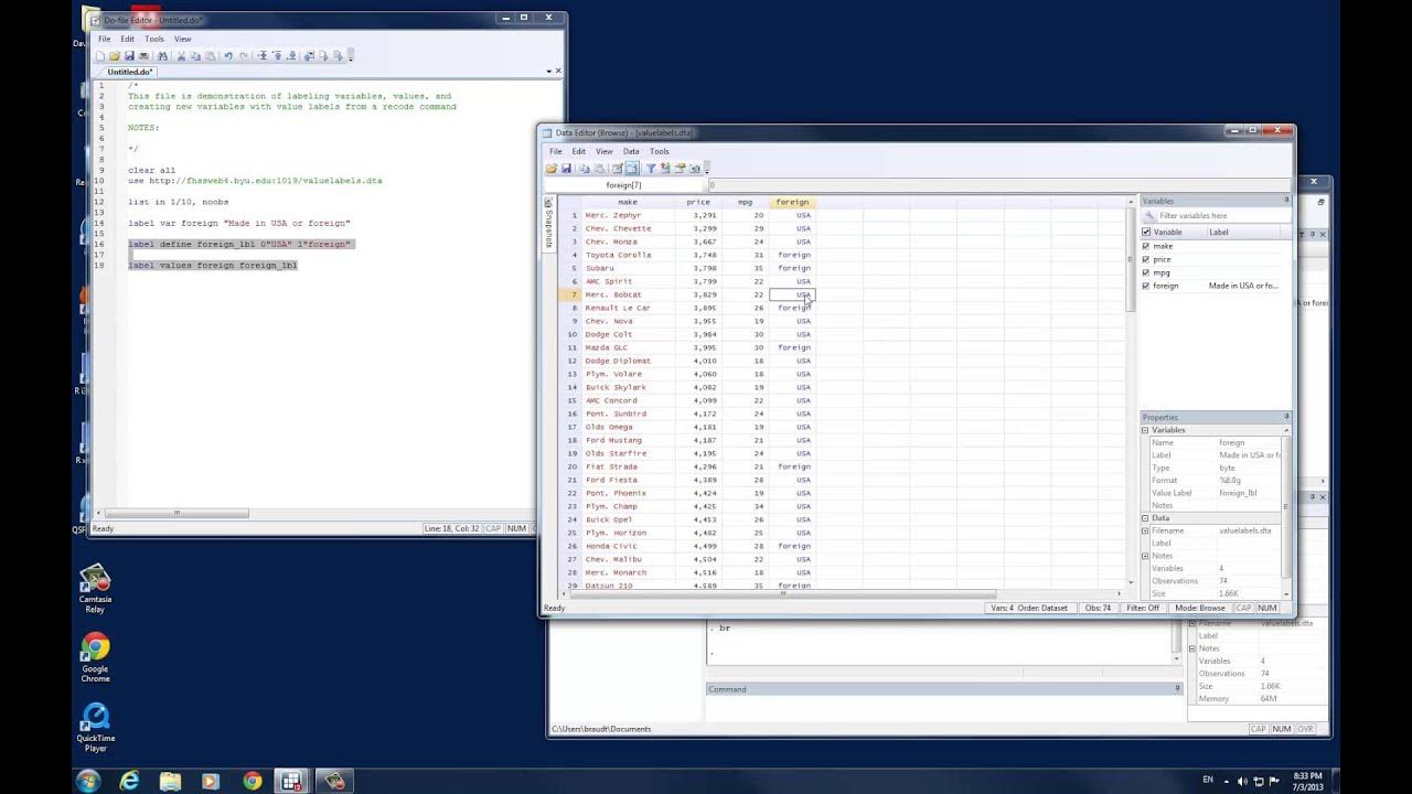Variable and Value Labels in STATA - YouTube