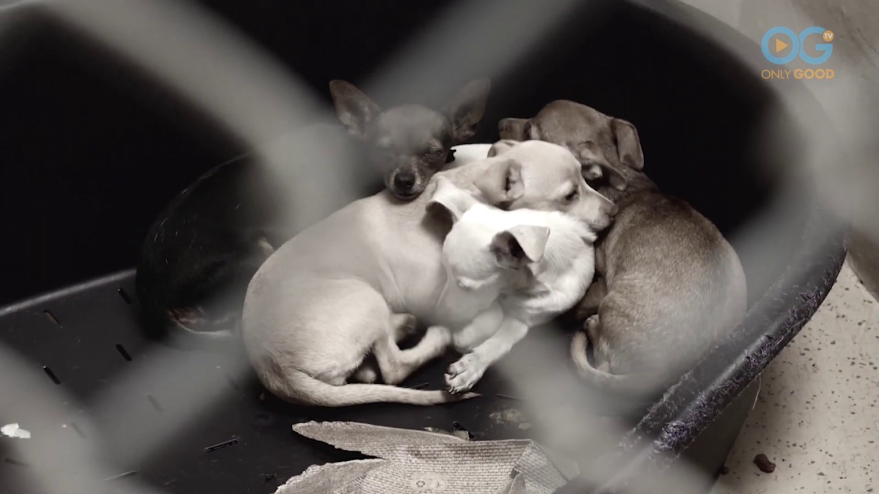 Kris Jones - You Rescued Me (Official Music Video) - YouTube