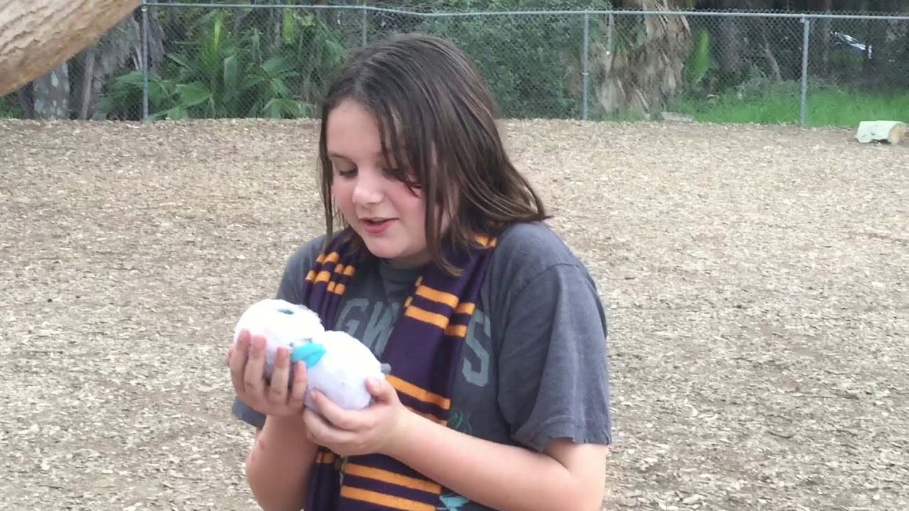 Painted Rock Elementary Character Counts: Caring - YouTube