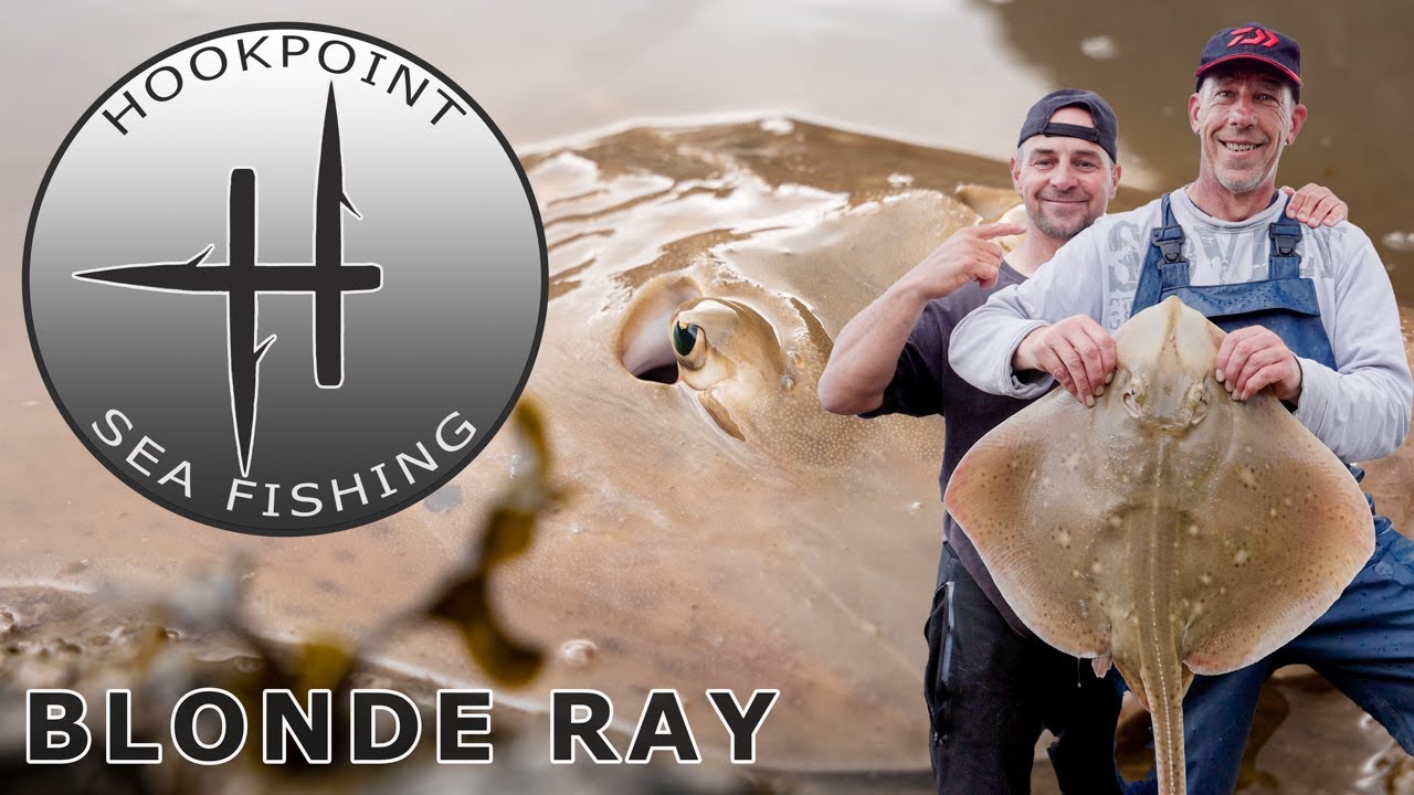 Catch Your First Blonde Ray From the Shore in South Wales with Gareth ...
