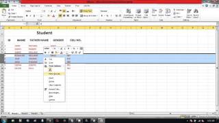 How to sort multiple columns in excel 2016 - porprofile
