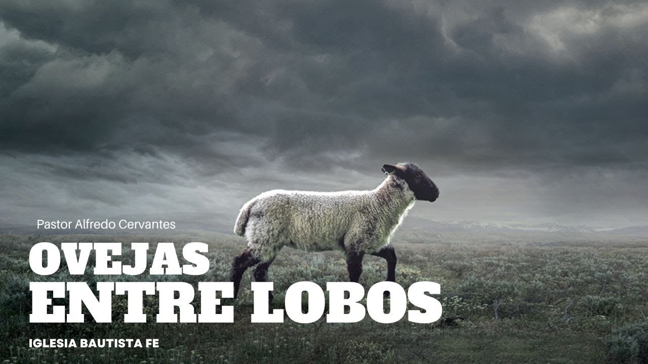 Ovejas Entre Lobos - 5/28/2023 - YouTube