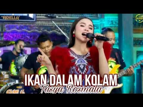 IKAN DALAM KOLAM - Tasya Rosmala Adella - Om Adella - YouTube