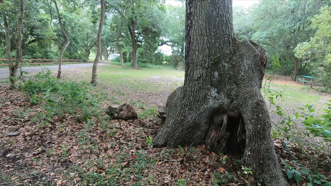 Withlacoochee River Park RV Campground - YouTube