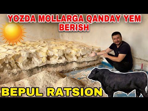 МОЛ БОҚУВЧИЛАР КЎРСИН ! ЁЗ ОЙЛАРИ УЧУН БЕПУЛ РАТЦИОН✅