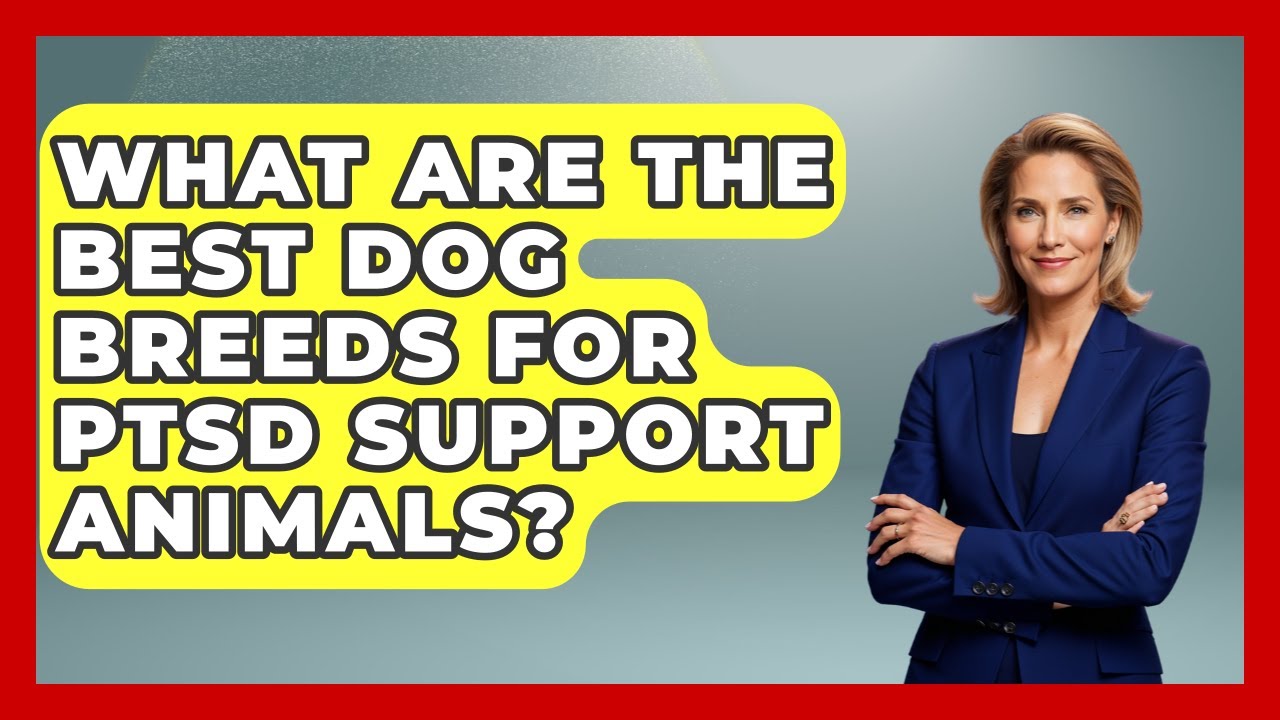 What Are The Best Dog Breeds For PTSD Support Animals? - PTSD Support ...
