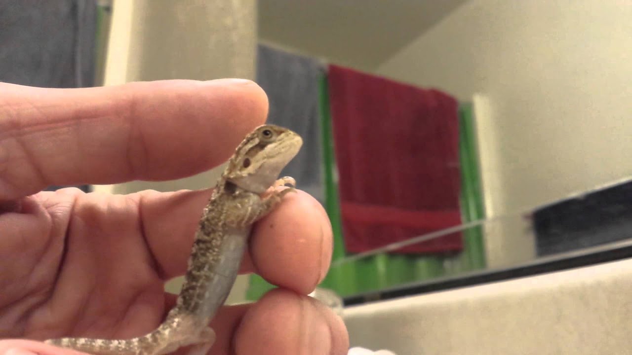 Babies first bite! Too Cute!! - YouTube