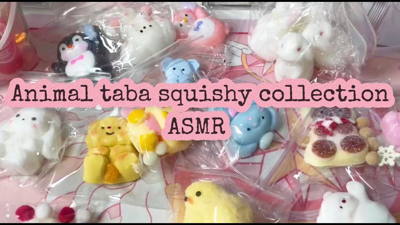 Animal Taba Squishy Collection ASMR || Amy Squishy💕 - YouTube
