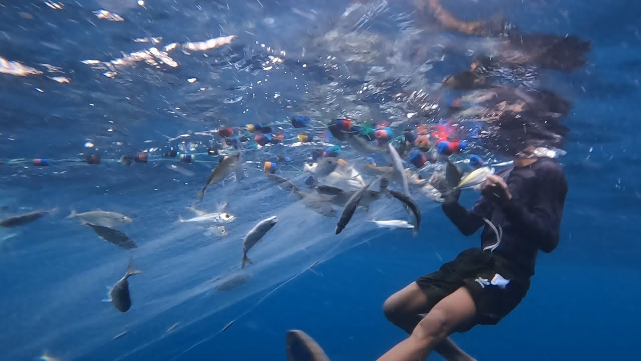 Unang Arya sa pagkadami ng buraw - YouTube