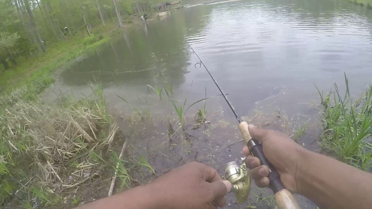 pond fishing with slug go - YouTube