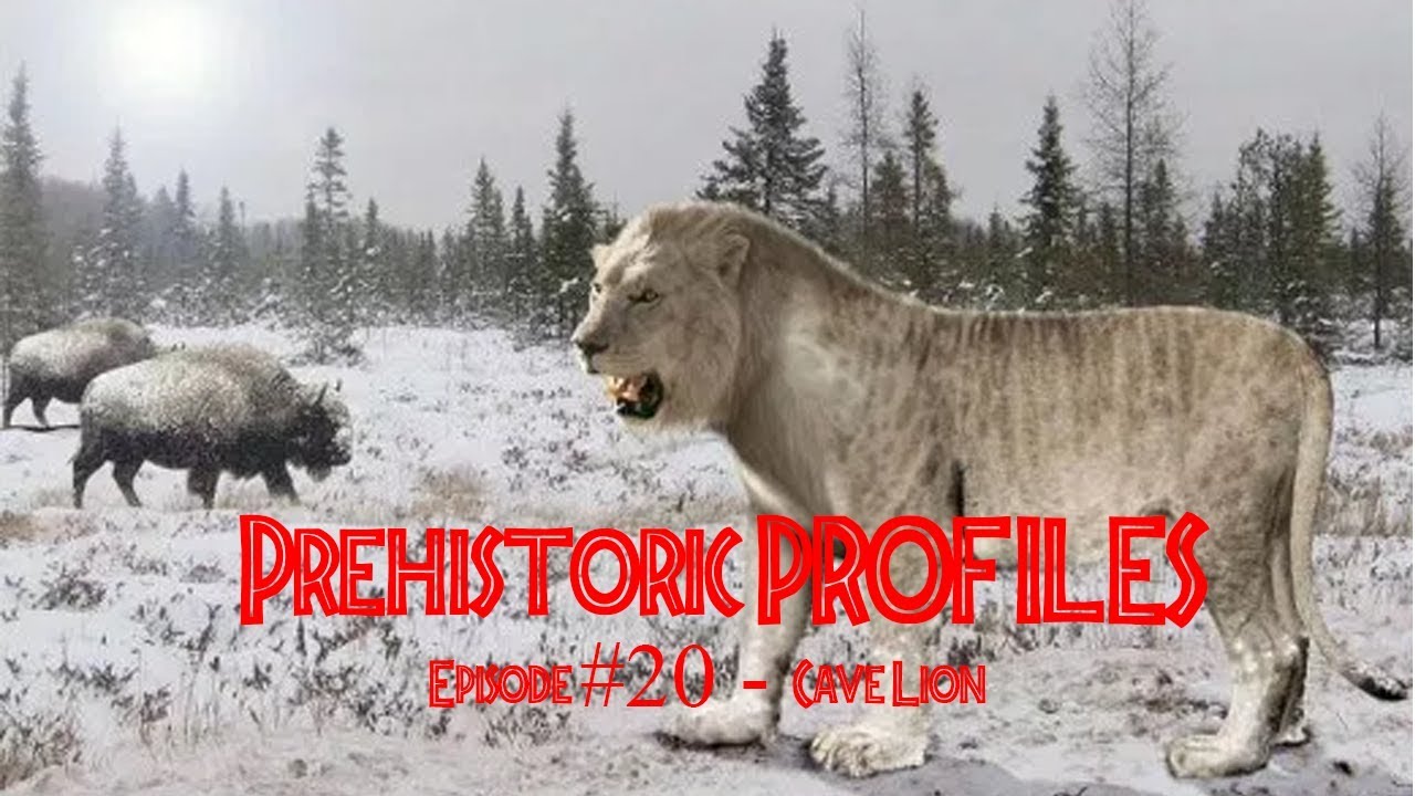 Prehistoric Profiles #20 Cave Lion - YouTube