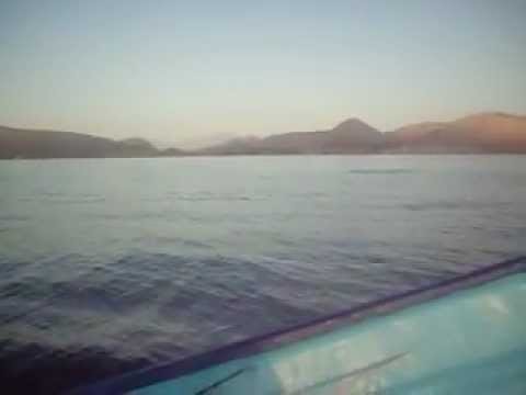 Mulege Mexico Fishing - YouTube
