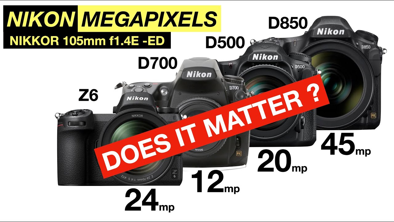 DO MEGA PIXELS MATTER? NIKON D700 vs D500 vs Z6 D850: 12-20-24-45 MP ...