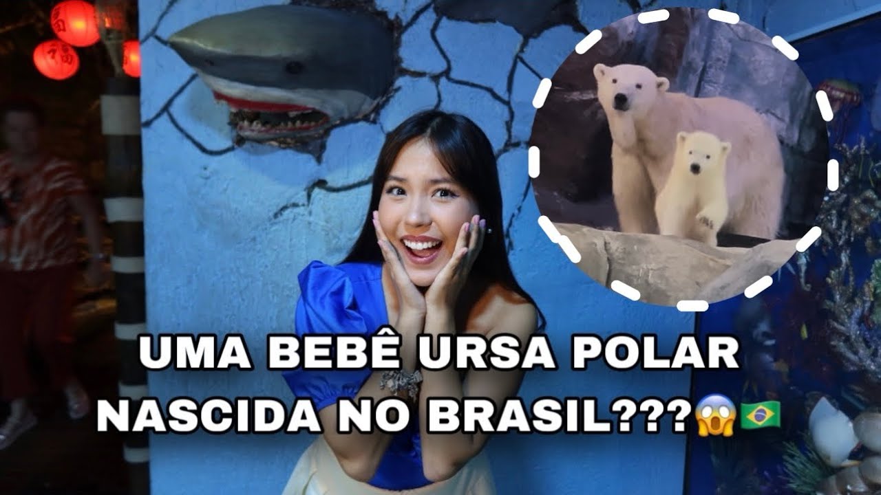 CONHECI A PRIMEIRA URSA POLAR NASCIDA NA AMÉRICA LATINA!!! + vlog no ...
