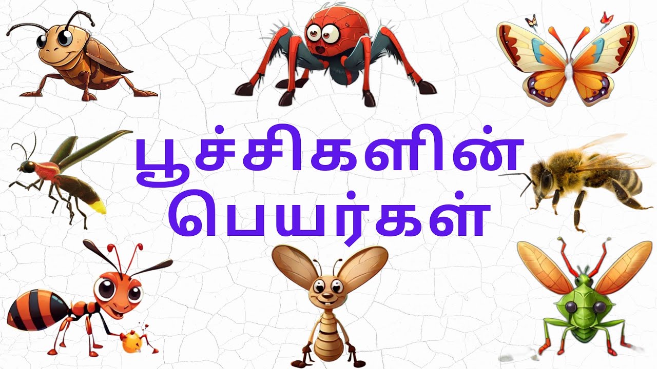 பூச்சிகளின் பெயர்கள் | Insects Name | Poochigal | Learn Bugs and Insect ...