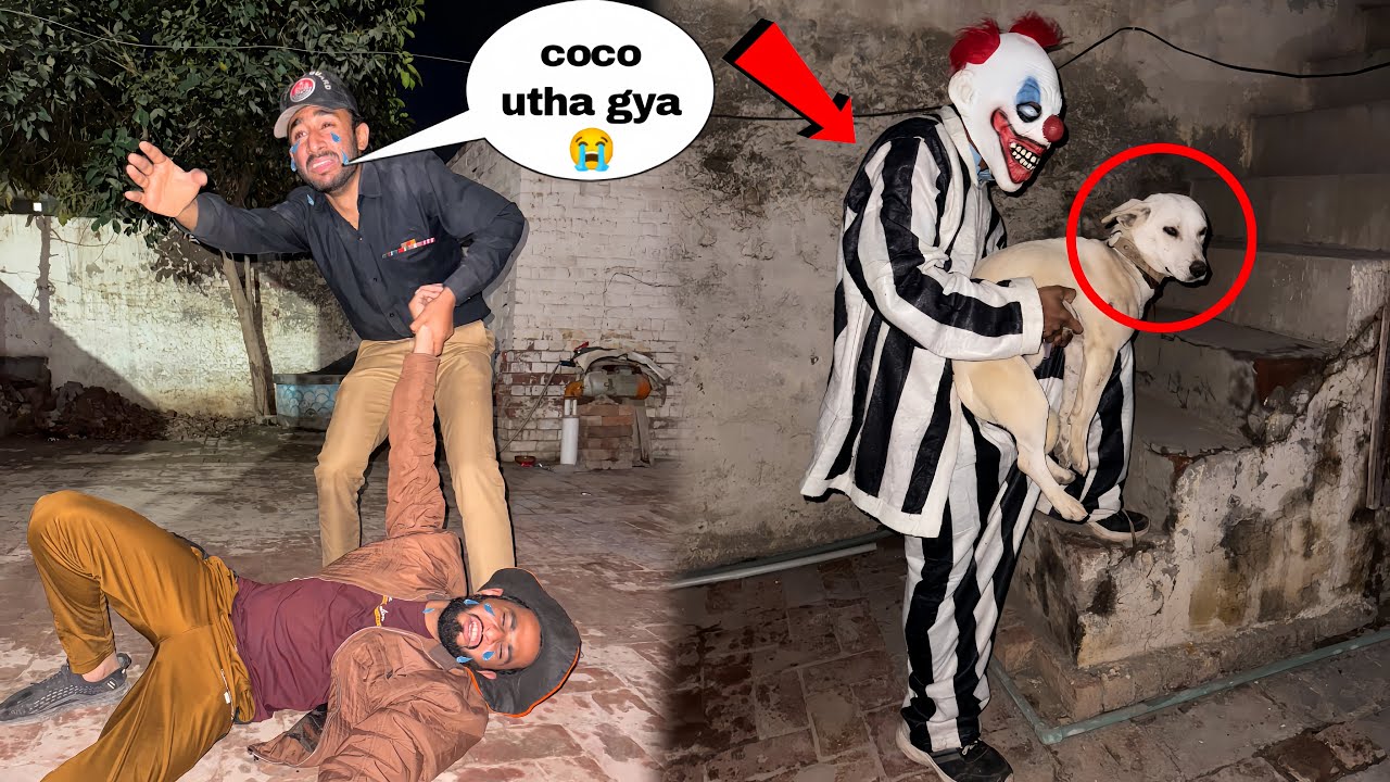 Sw pet house ka coco Pennywise outha k la giya 😭 - YouTube