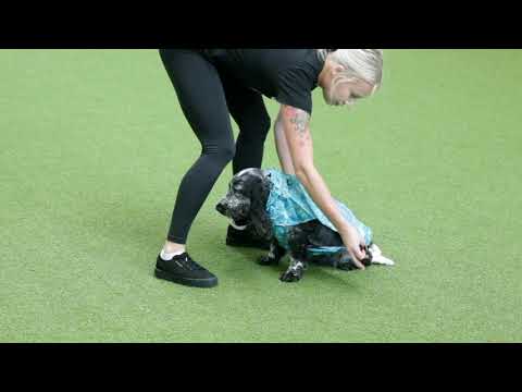 Rukka Pets Drizzle Dog Coat | premiumpetclothing.co.uk