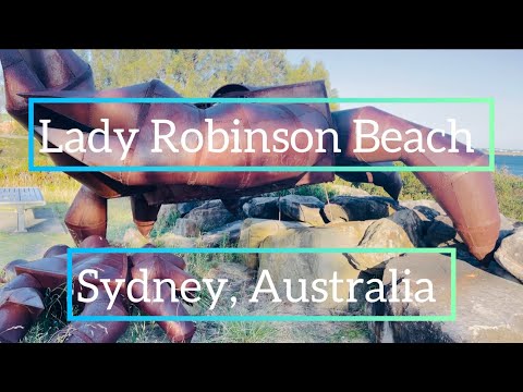 Lady Robinson Beach - Sydney, Australia - YouTube