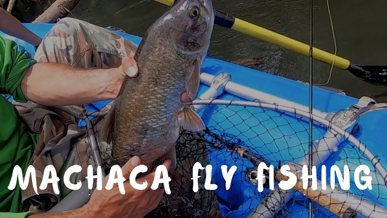 Machaca Fly fishing - YouTube