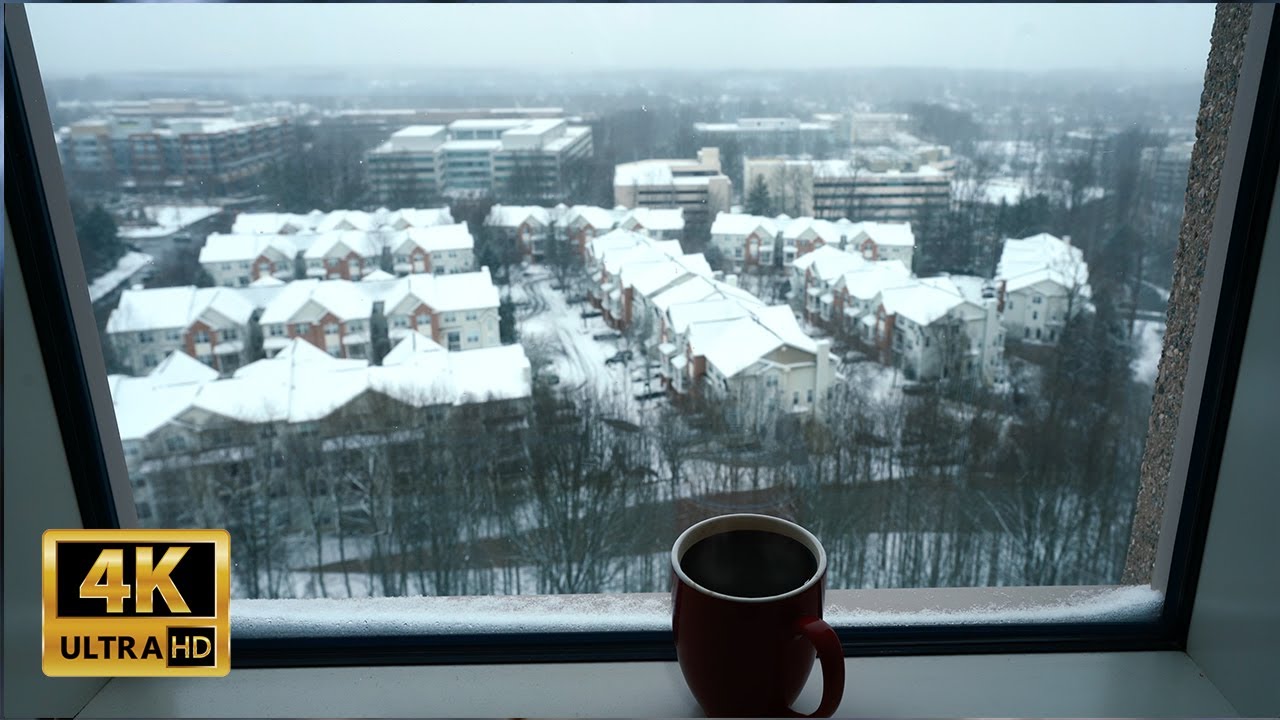 Snow Day at Cafe, Coffee Shop Sounds and Ambience (Jazz Music) 4k - YouTube