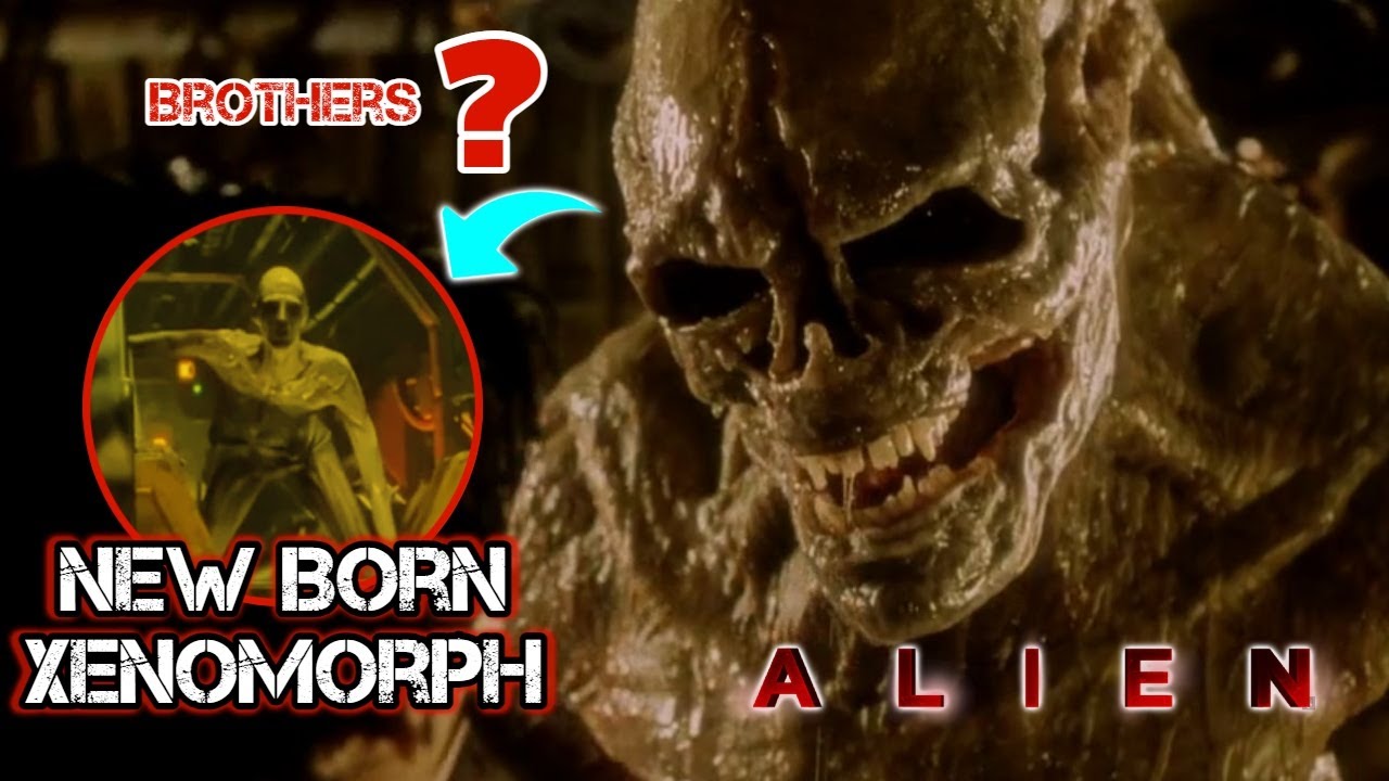 NewBorn- Mutant Human/Xenomorph Story Explained, Is He Connected To ...