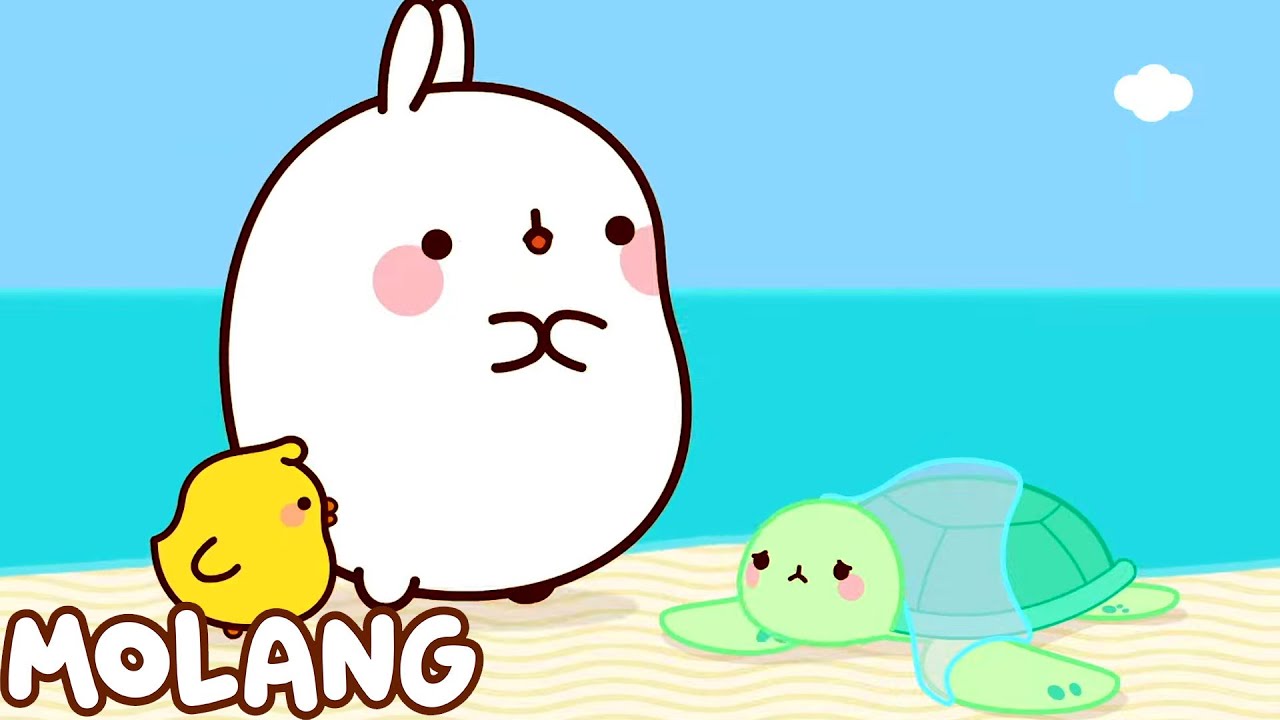 Molang And Piu Piu | The Turtle | Cartoons For Kids | HooplaKidz Shows ...
