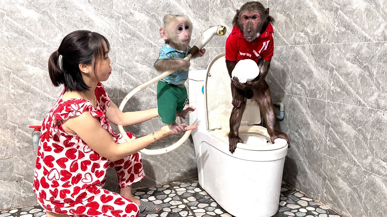 Baby Monkey Helps Mom Clean Abu! 🛁🐵 - YouTube