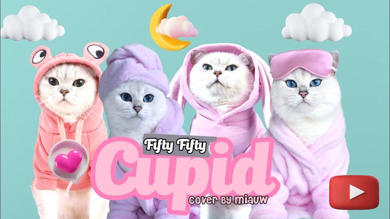 Cupid - Fifty Fifty Cover By Cute Cats | 피프티피프티 -고양이에게 가려진 큐피드 | #cupid ...