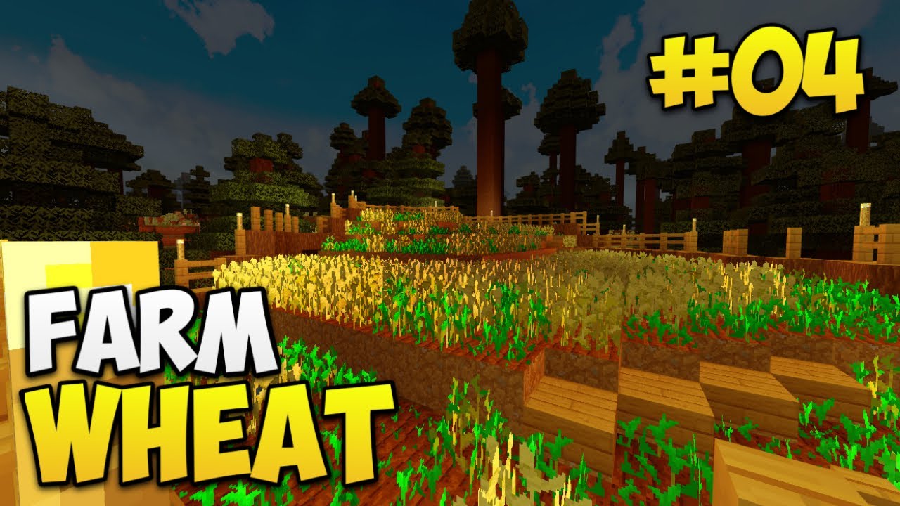 MEMBUAT FARM WHEAT - MINECRAFT SURVIVAL #04 - YouTube