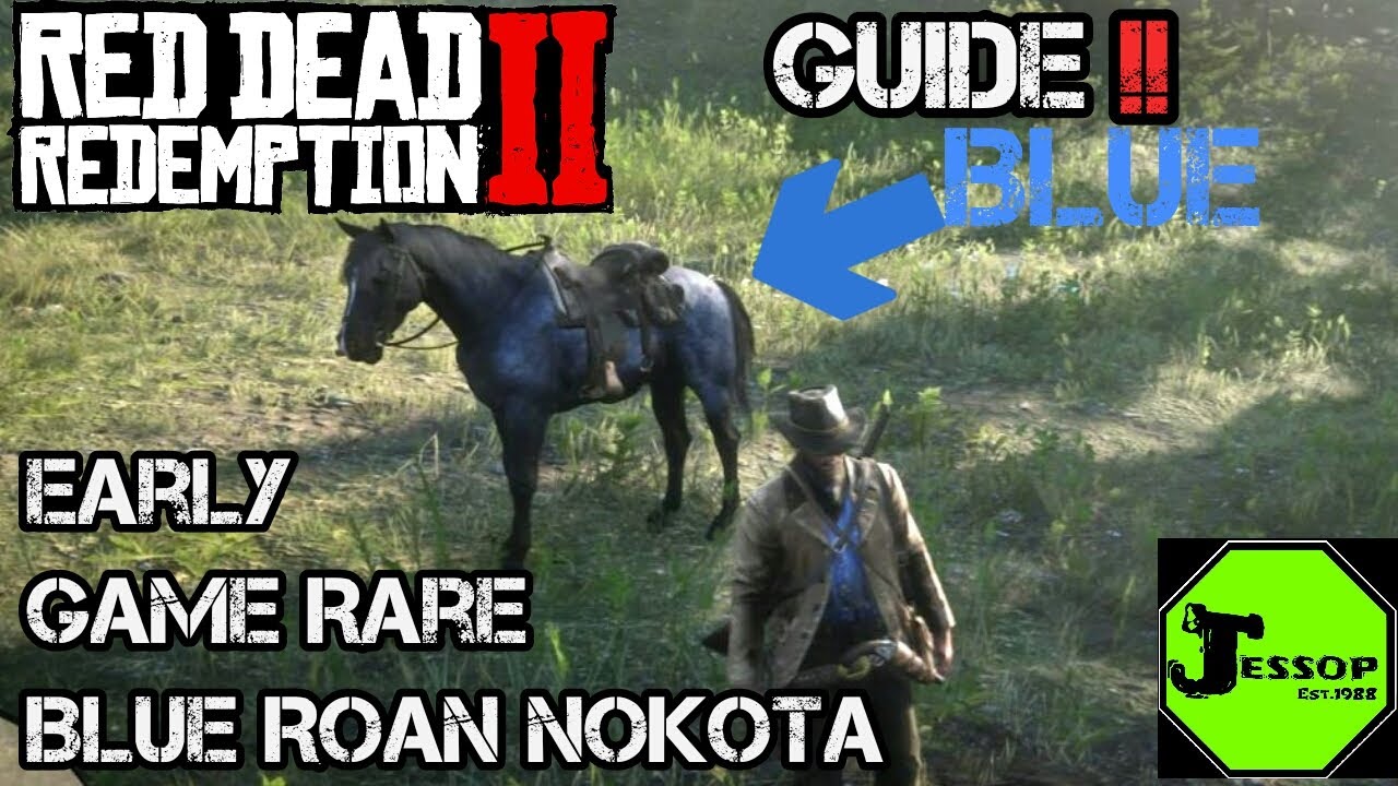 Red Dead redemption 2 How to unlock Nokota blue roan Early game - YouTube