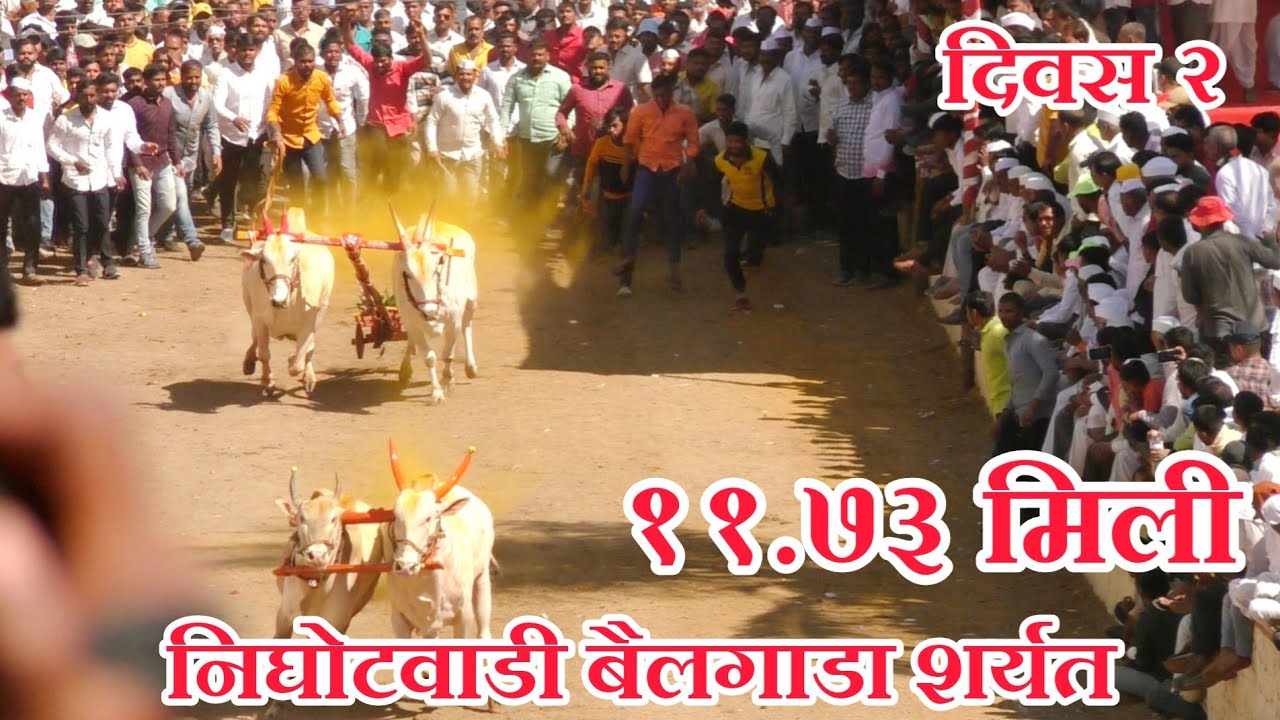 दिवस २| निघोटवाडी बैलगाडा शर्यत| घाटाचा राजा |११.७३ मिली|nighotwadi ...