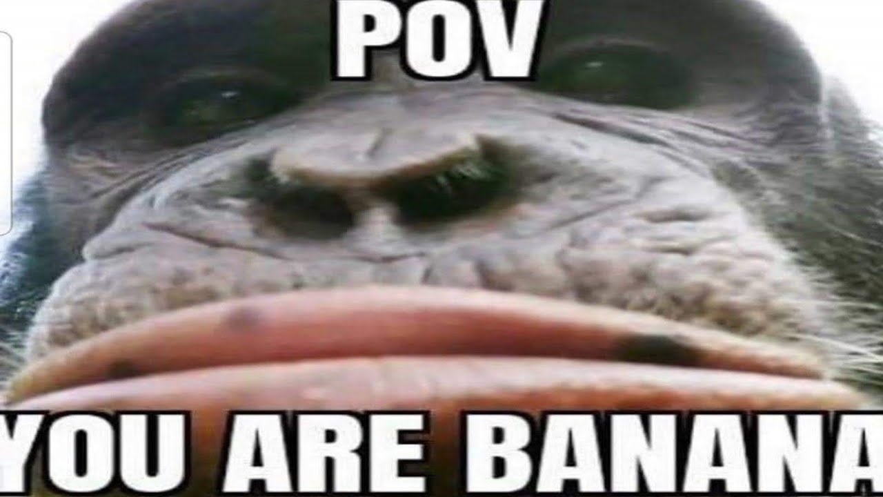 Pov You Are Banana Youtube