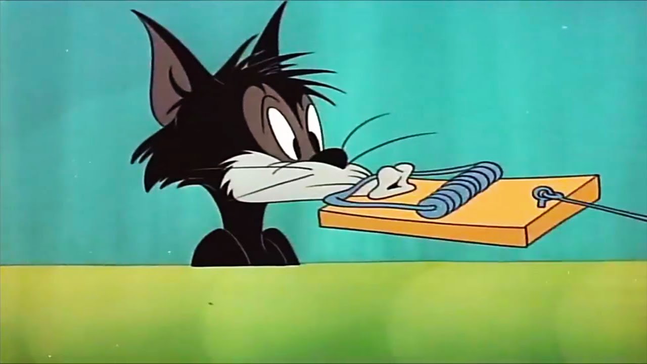 Tom and jerry english episodes ᴴᴰ 💥Casanova Cat 1951 💥 Kids Cartoons ...