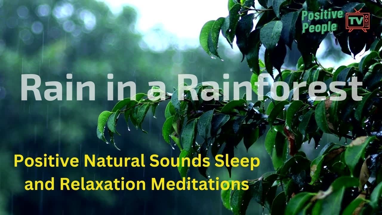 Rain in a Rainforest: Positive Natural Sounds Sleep and Relaxation ...