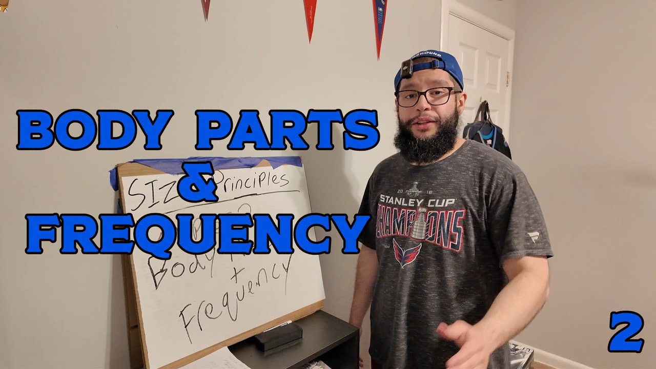 The SIZE Principles: Chapter 2 - Body Parts and Frequency - YouTube