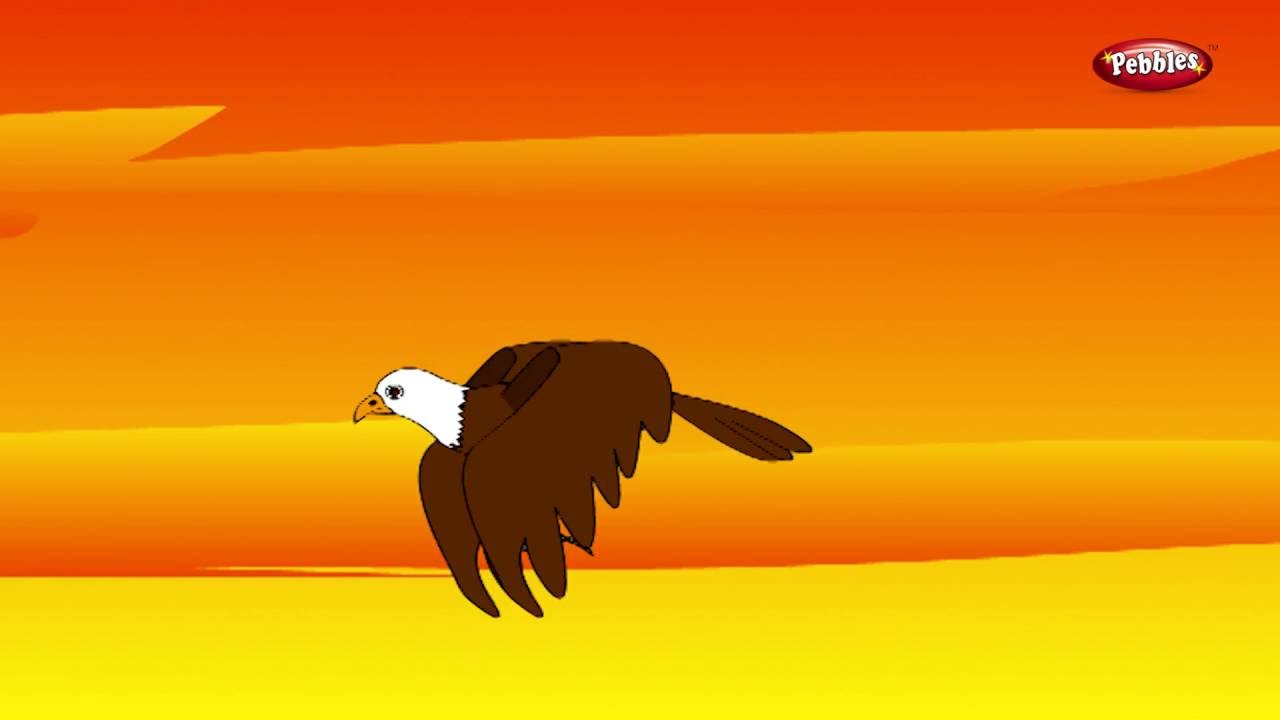 Eagle Rhyme in Hindi | Hindi Rhymes For Kids | हिंदी कविता | Bird ...