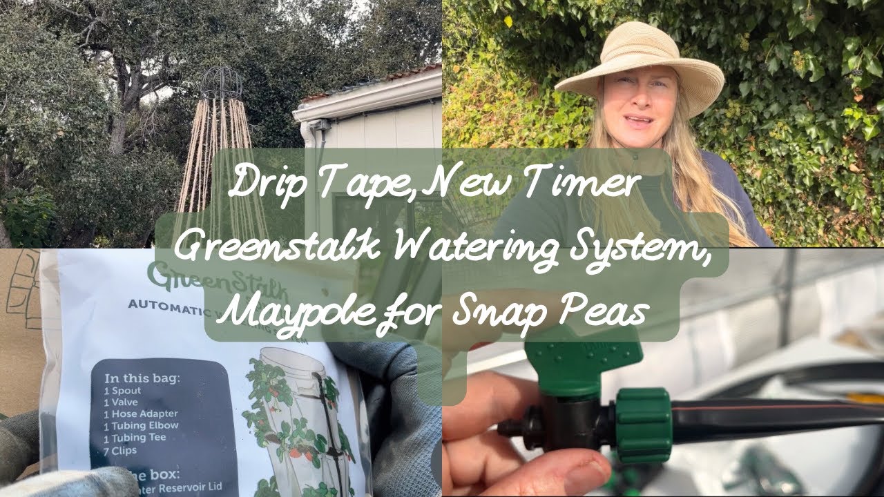 So Many Things! Drip Tape, New Timer, Maypole for Sugar Snap Peas ...