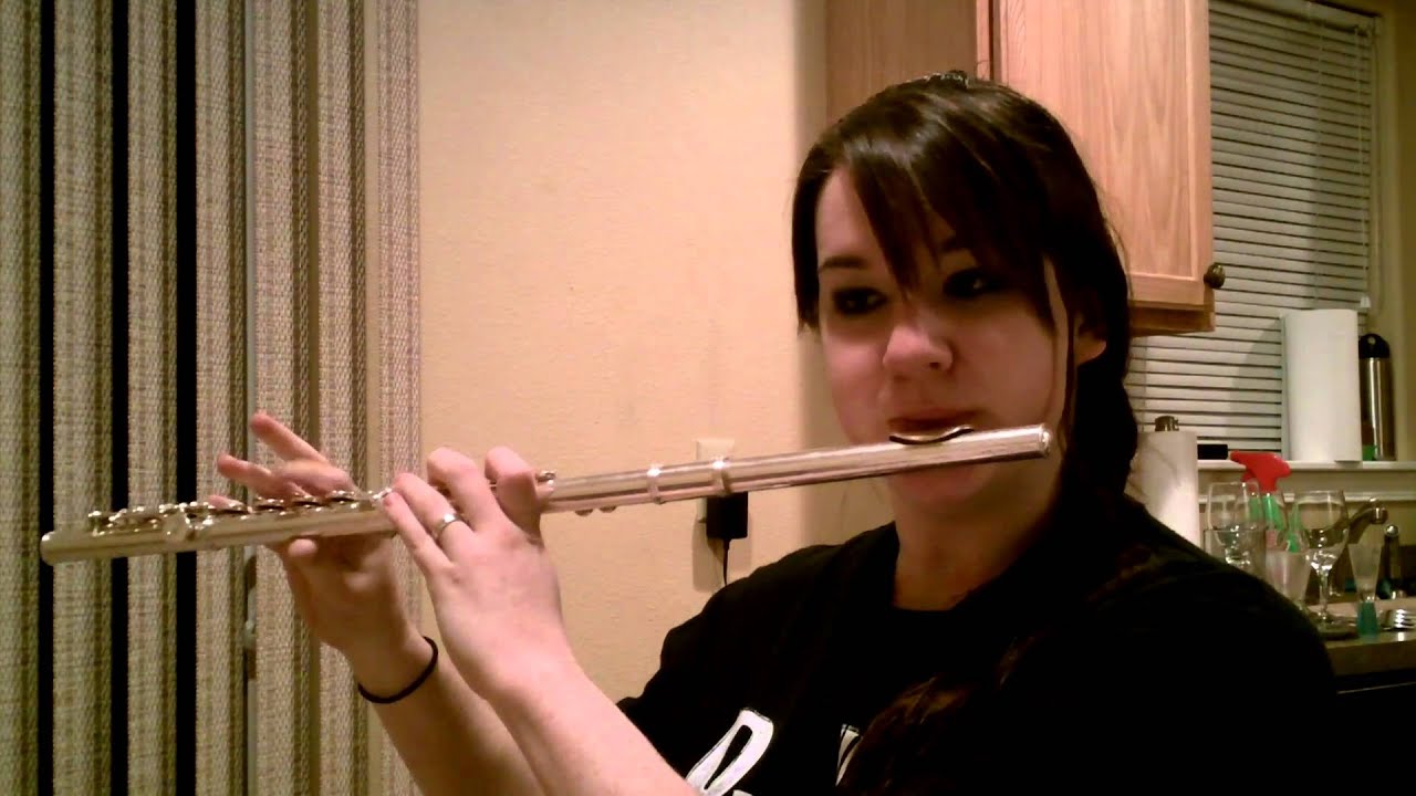 Hey Jude on Flute - YouTube