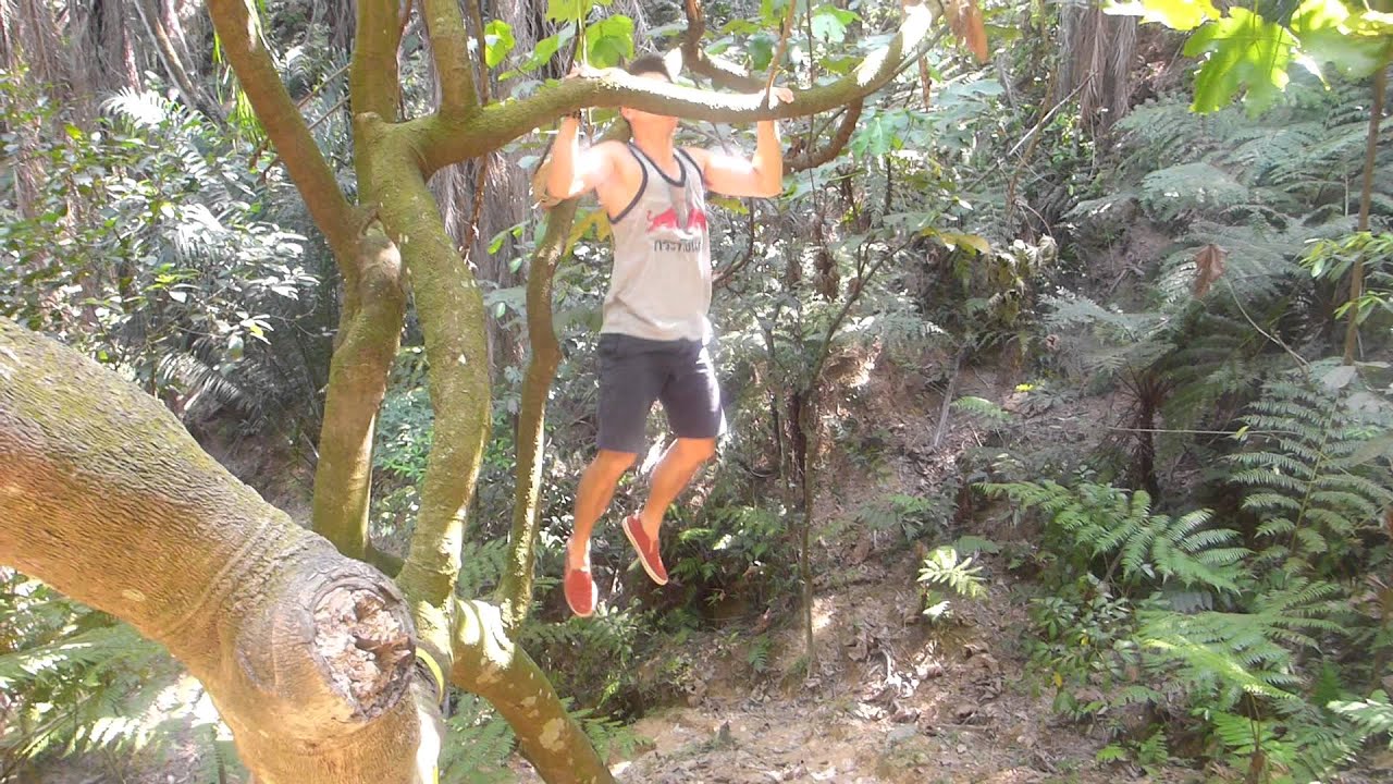 Pull-ups on a tree branch - YouTube