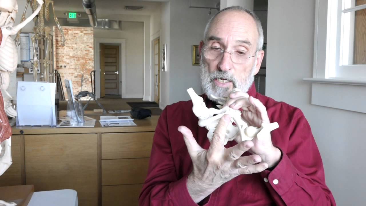 ANATOMY IN CLAY® One-On-One with Jon Zahourek: The Pelvic Floor - YouTube