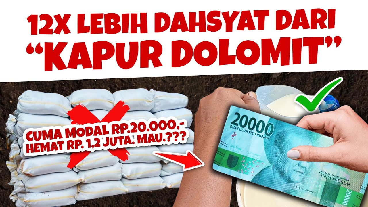 MODAL Rp. 20.000 HEMAT 1,2 JUTA. MAU.??? MEMBUAT PUPUK PENETRAL PH TANAH PENGGANTI KAPUR DOLOMIT ...