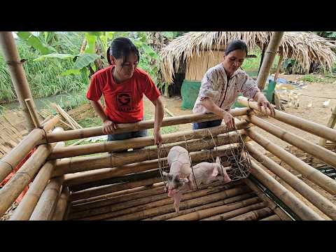 Hoi's mother brought pigs for Thu to raise, and Thu was very touched by her help.