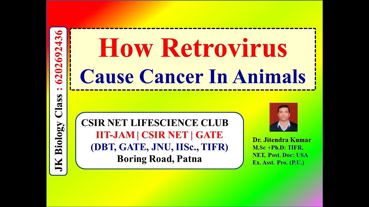 Retrovirus Cause Cancer in Animals || Cancer || CSIR NET LIFE SCIENCE ...