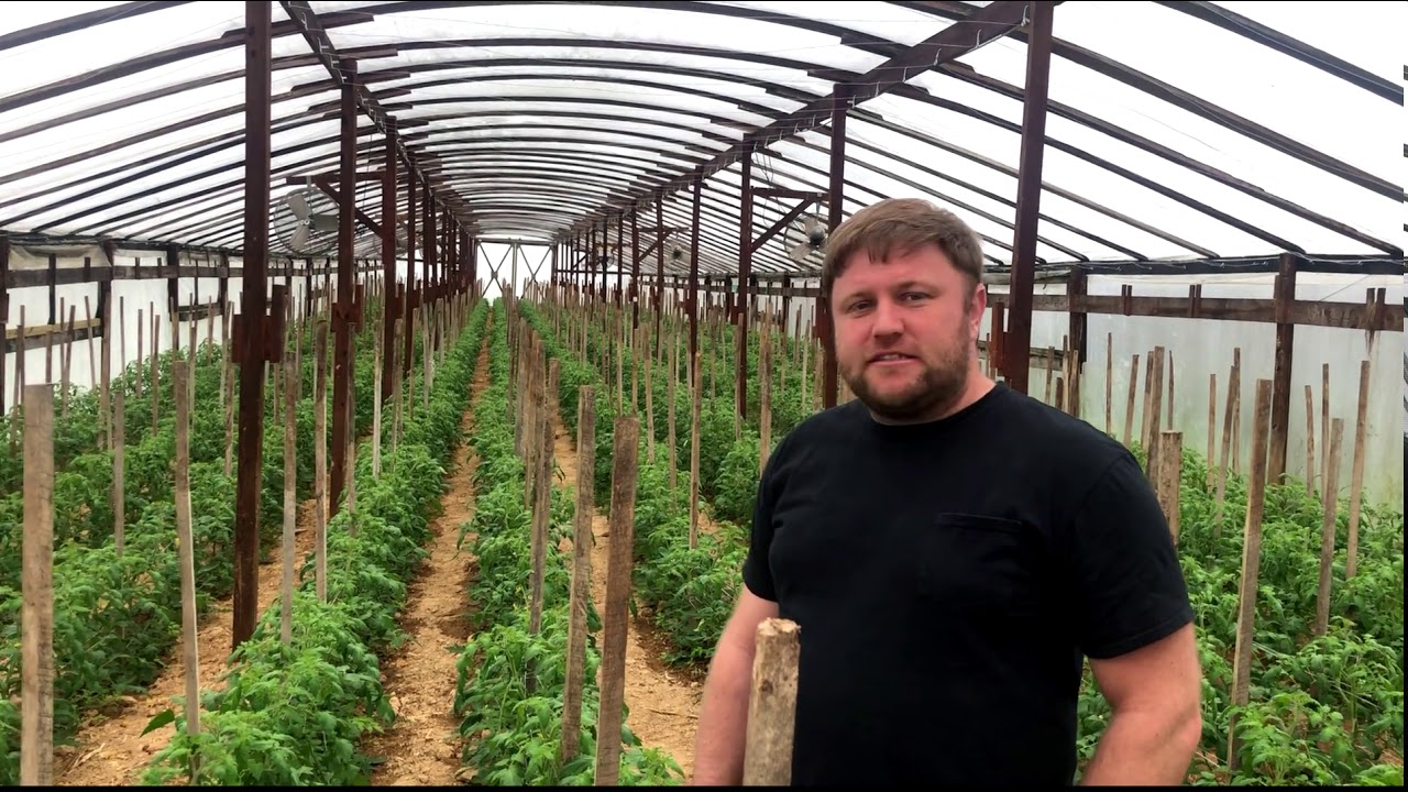 Jordan Combs, Grainger County - YouTube