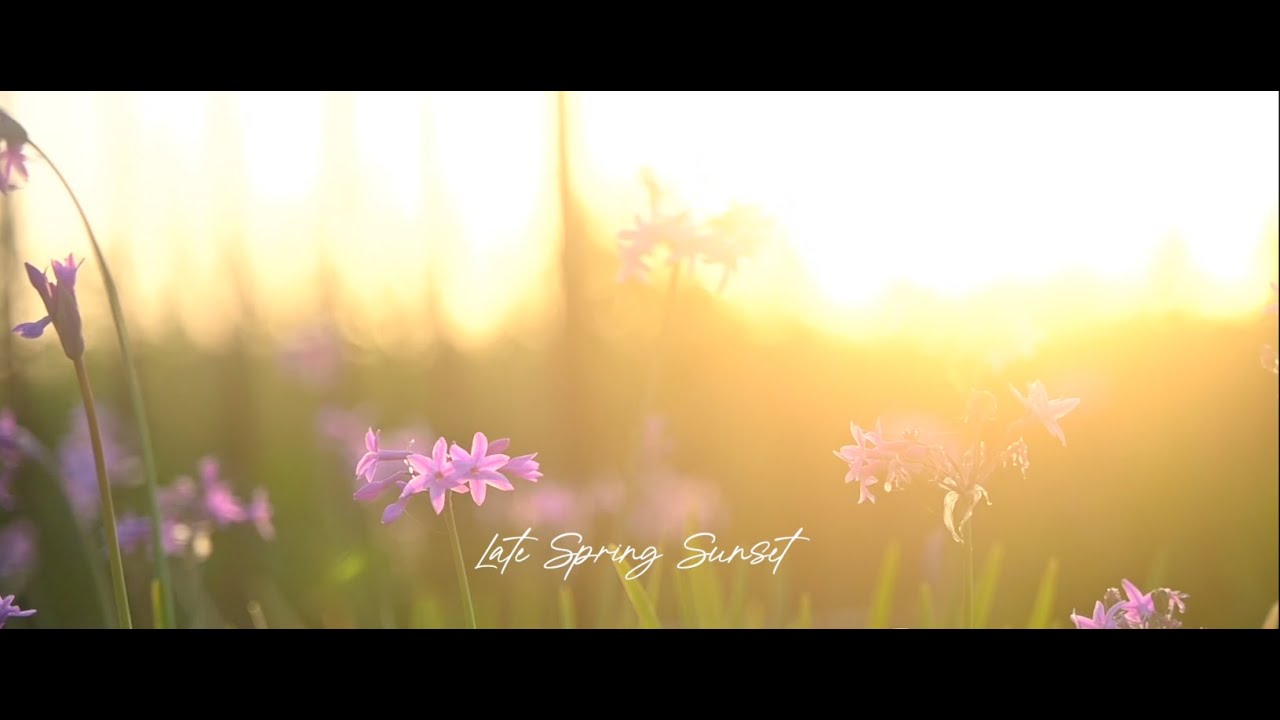 Late Spring Sunset / Happy Mother's Day! - YouTube