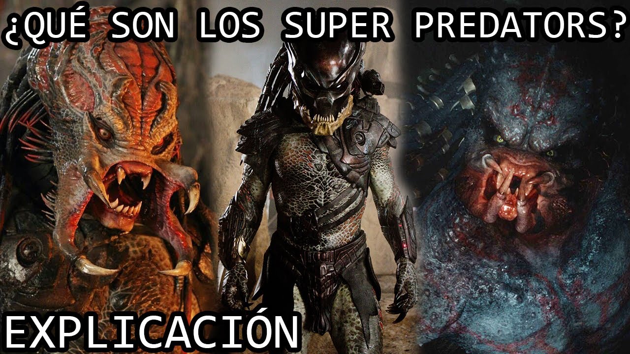 ¿Qué son los Super Predators? | El Origen de los Super Depredadores ...